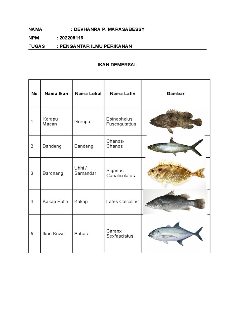 Jenis Ikan Demersal dan Pelagis | PDF | Memasak, Makanan, & Anggur ...