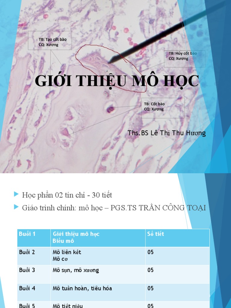 B1 Bieu Mo - DHXN | PDF