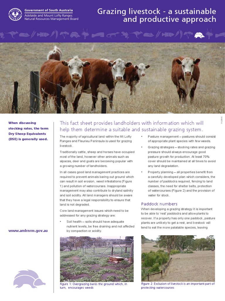 Grazing Livestock - A Sustainable and Productive Approach Fact Sheet ...