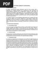 Sensibilidad somestésica y visceral | PDF | Dolor | Sistema somatosensorial