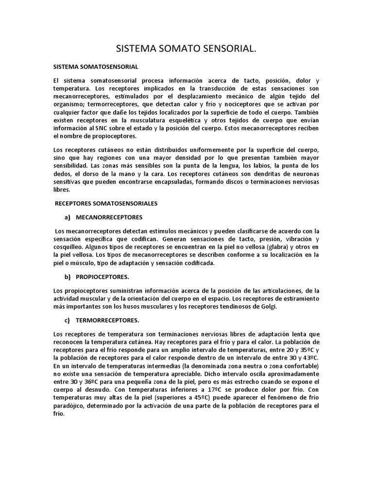 Sistema Somato Sensorial Word | PDF | Dolor | Sistema somatosensorial