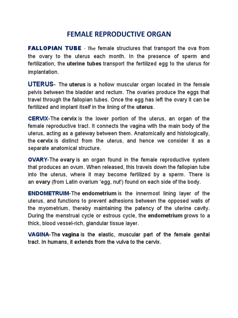 Female Reproductive Organ 1 | PDF | Social Science | Religion ...