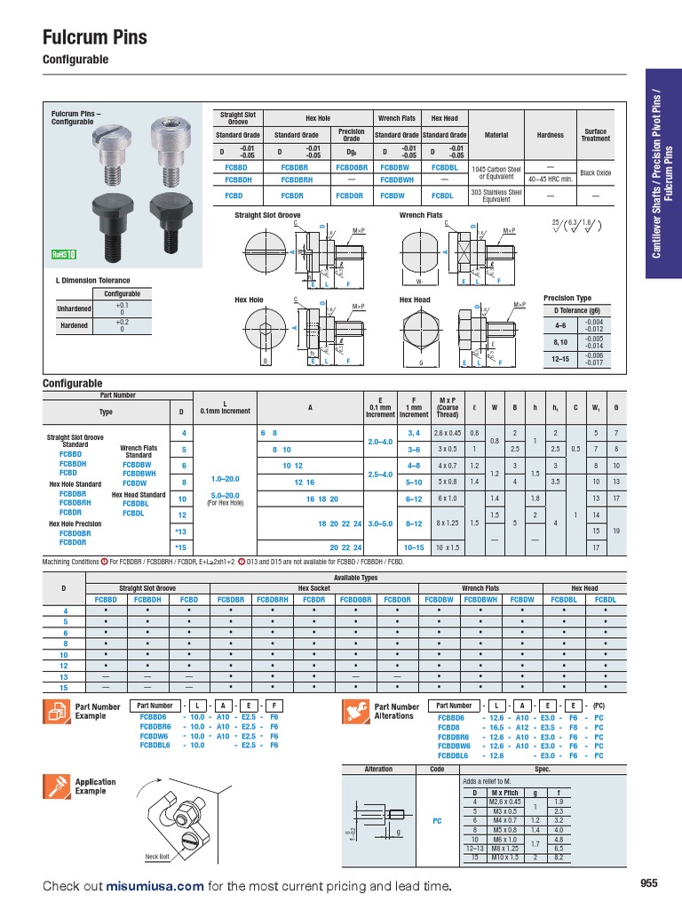 Fulcrum Pins Fulcrum Pins: Standard Configurable | Download Free PDF ...