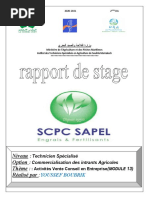 Présentation de La RADEEF | PDF | la communication