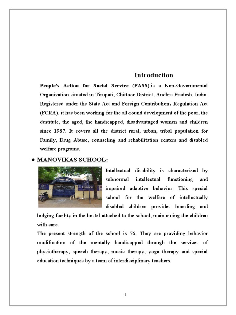 CDP Project Report | PDF | Disability | Intellectual Disability