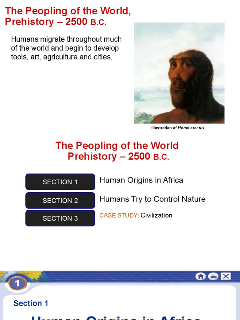 Human Origins and Migration Overview | PDF | Homo | Stone Age