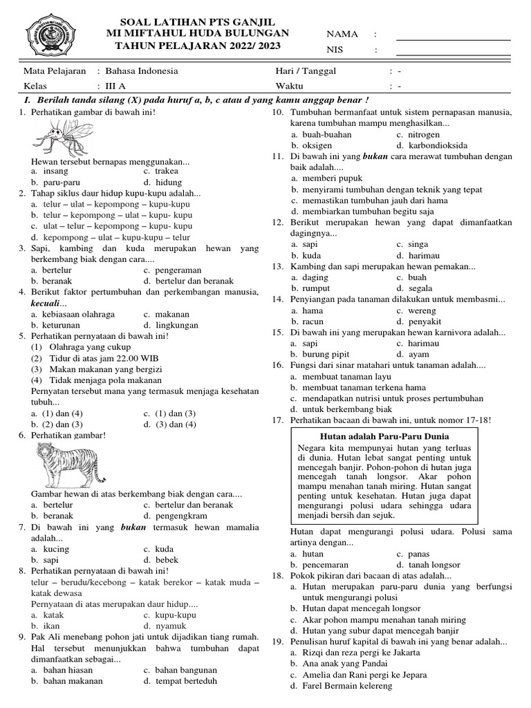 Soal Latihan PTS Bahasa Indonesia Kelas 3 | PDF | Griya & Taman | Sains & Matematika