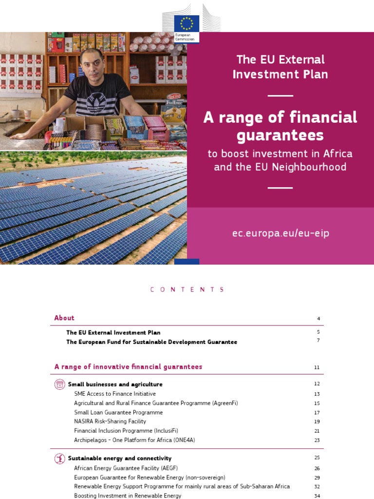 Efsd Guarantees Feb 2021 en | PDF | Small And Medium Sized Enterprises ...