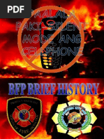 BFP Uniform Policy | PDF
