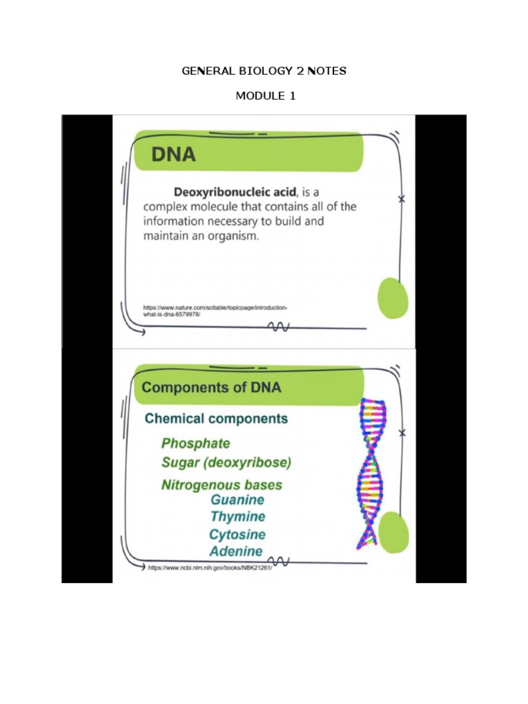 General Biology 2 Notes | PDF | Respiratory Tract | Reproduction