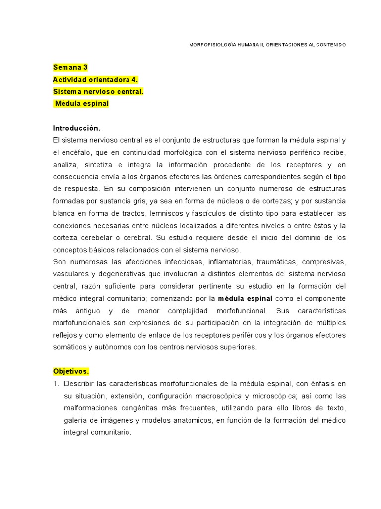 Orientacion Del Tema 1.3 | PDF | Médula espinal | Materia gris