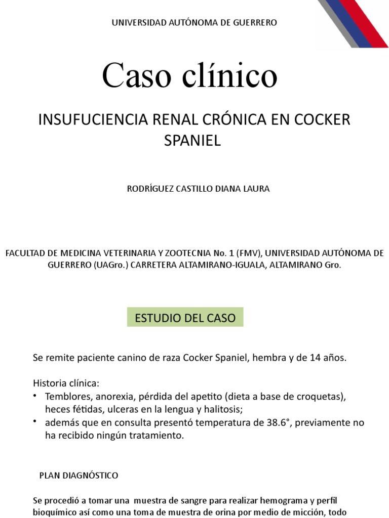 Caso clínico | PDF | Enfermedad renal crónica | Medicina CLINICA
