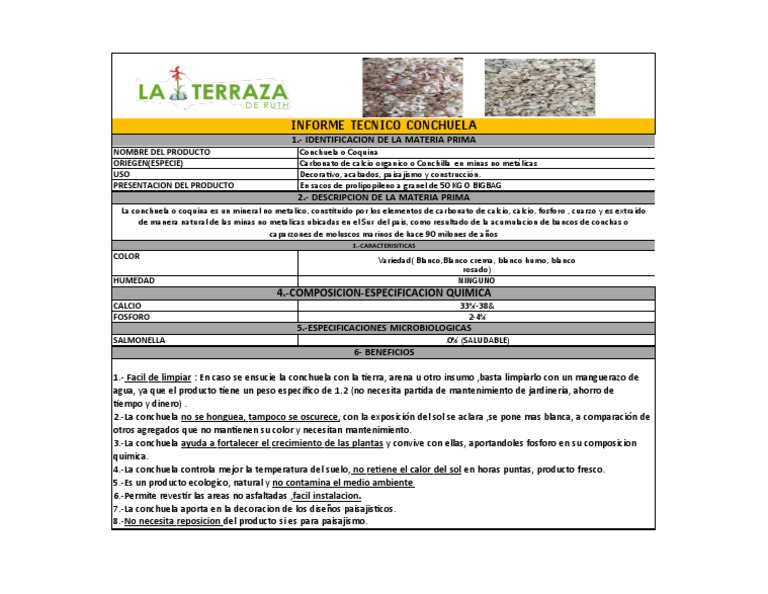Ficha Tecnica Conchuela - RUTH | PDF | Naturaleza | Materiales