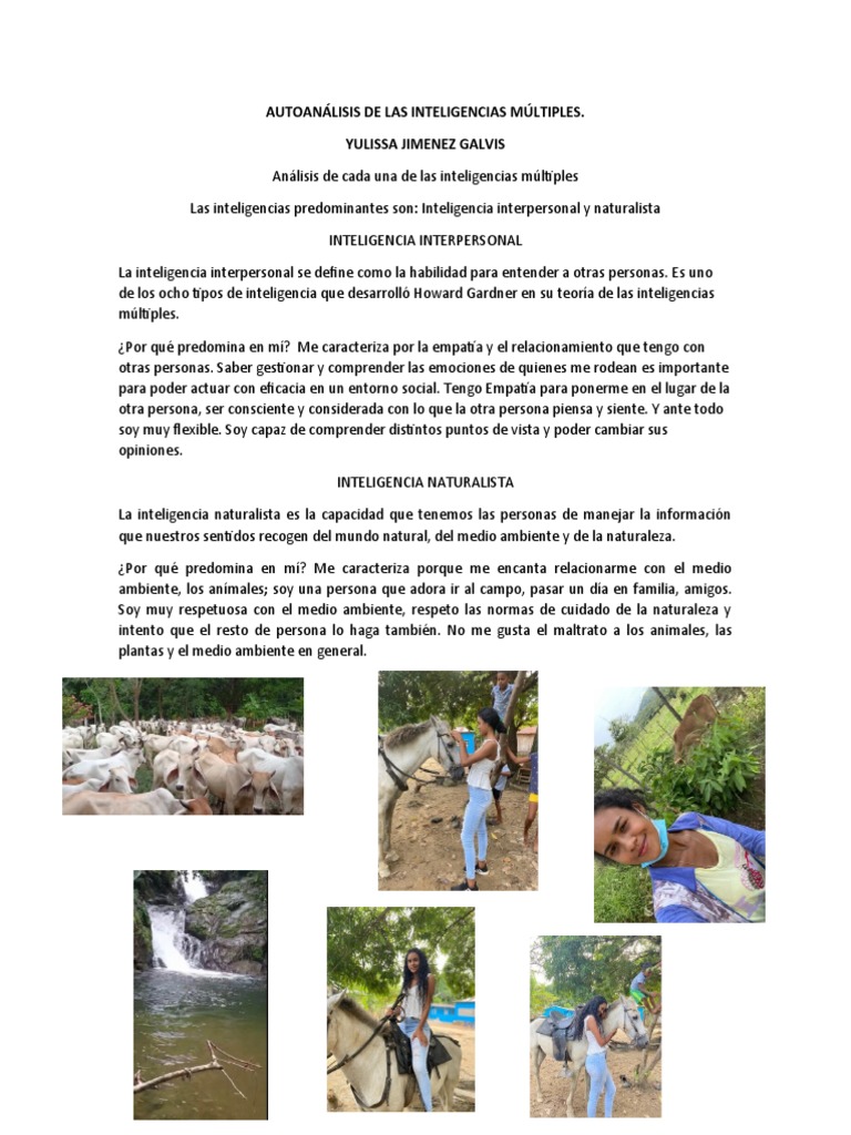 Autoanálisis de Las Inteligencias Múltiples | PDF | Inteligencia ...