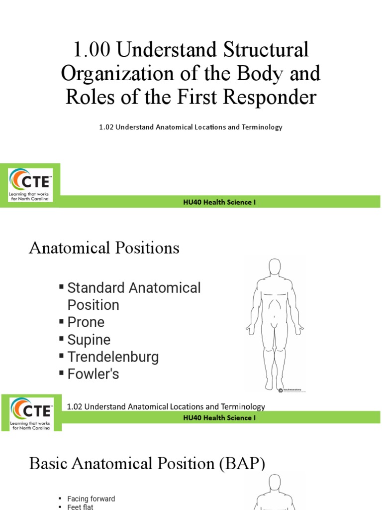 1.02 Directional Terms and Anatomical Positions C.thornton | Download ...
