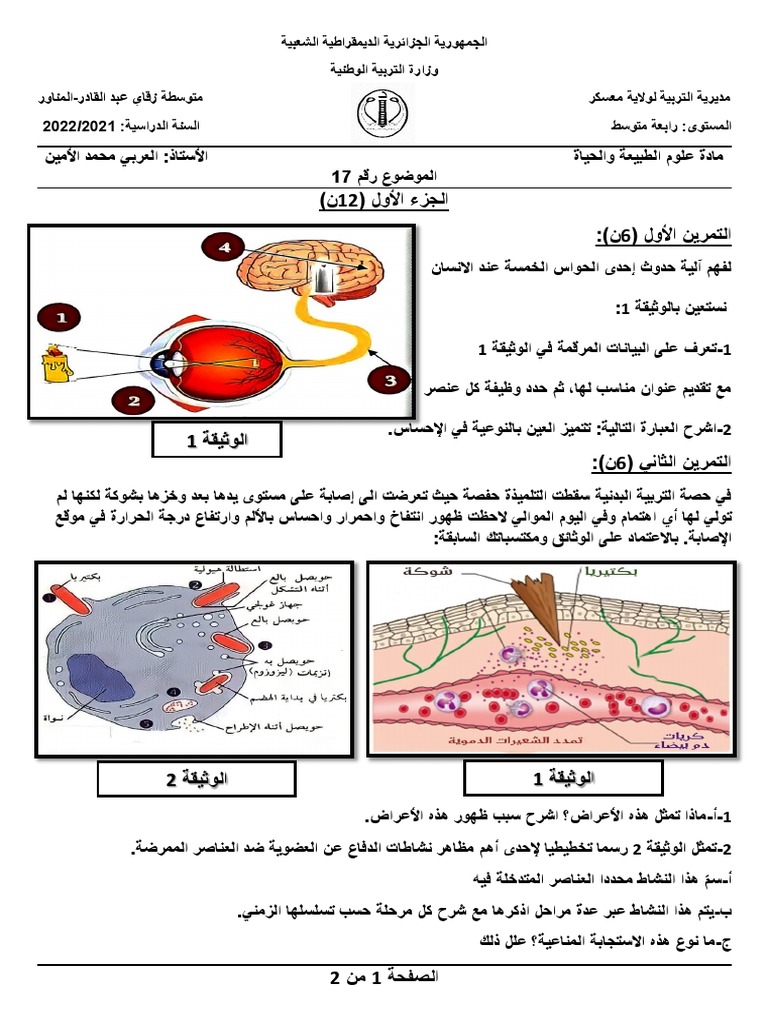 Dzexams 4am Sciences 1251611 | PDF