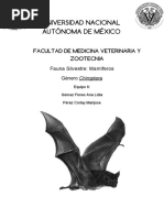 Chiroptera | PDF | Murciélago | Zoología