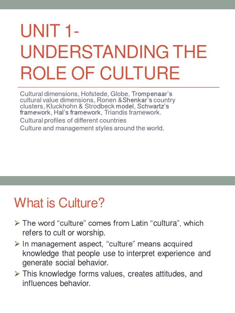 Understanding Cultural Dimensions | PDF | Collectivism | Leadership