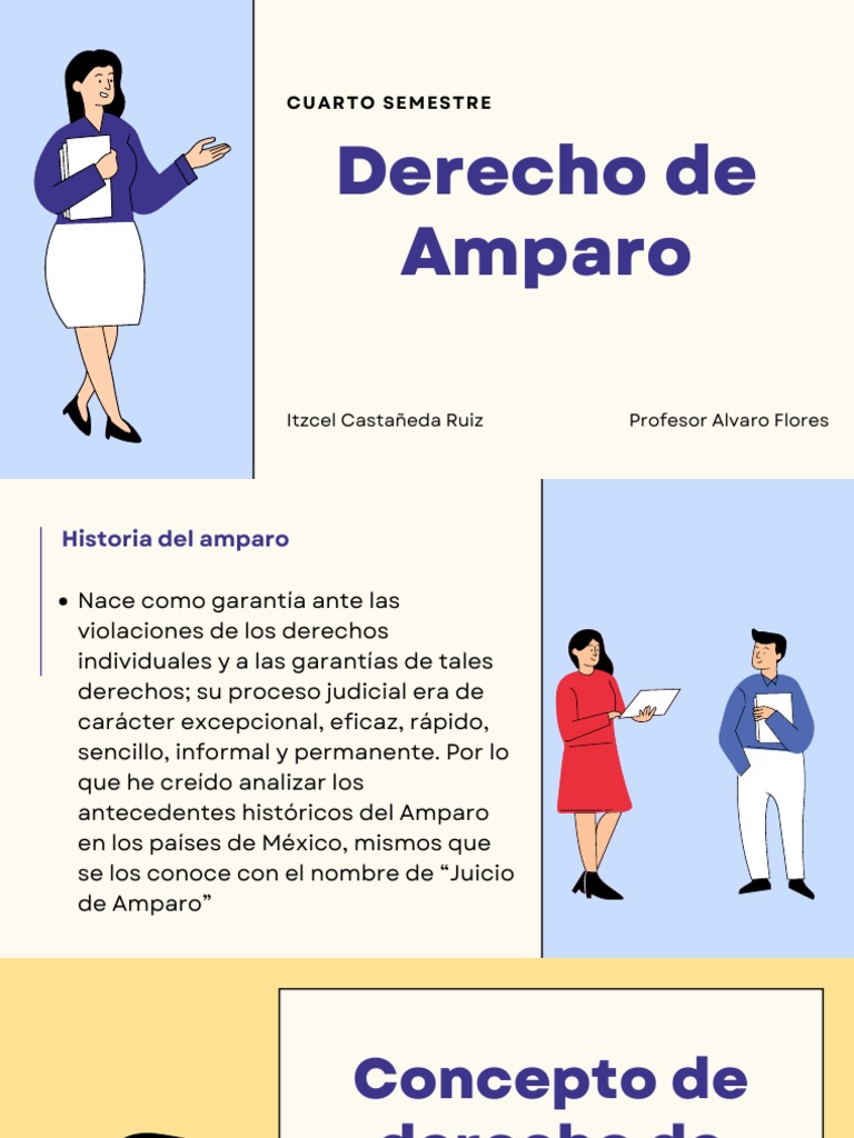 Concepto y Tipos de Amparo en México | PDF | Derecho Constitucional ...