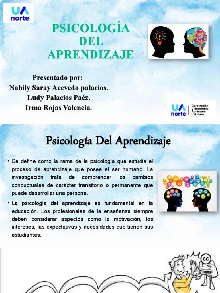 Psicología Del Aprendizaje | PDF | Aprendizaje | Sicología