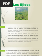 Comisariado Ejidal y Consejo de Vigilancia | PDF | Ley Pública | Justicia