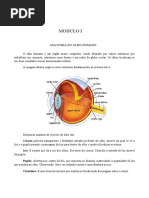 Acinetopsia | PDF | Enxaqueca | Percepção visual