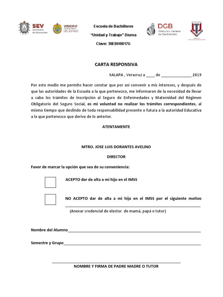 Carta Responsiva Imss | PDF
