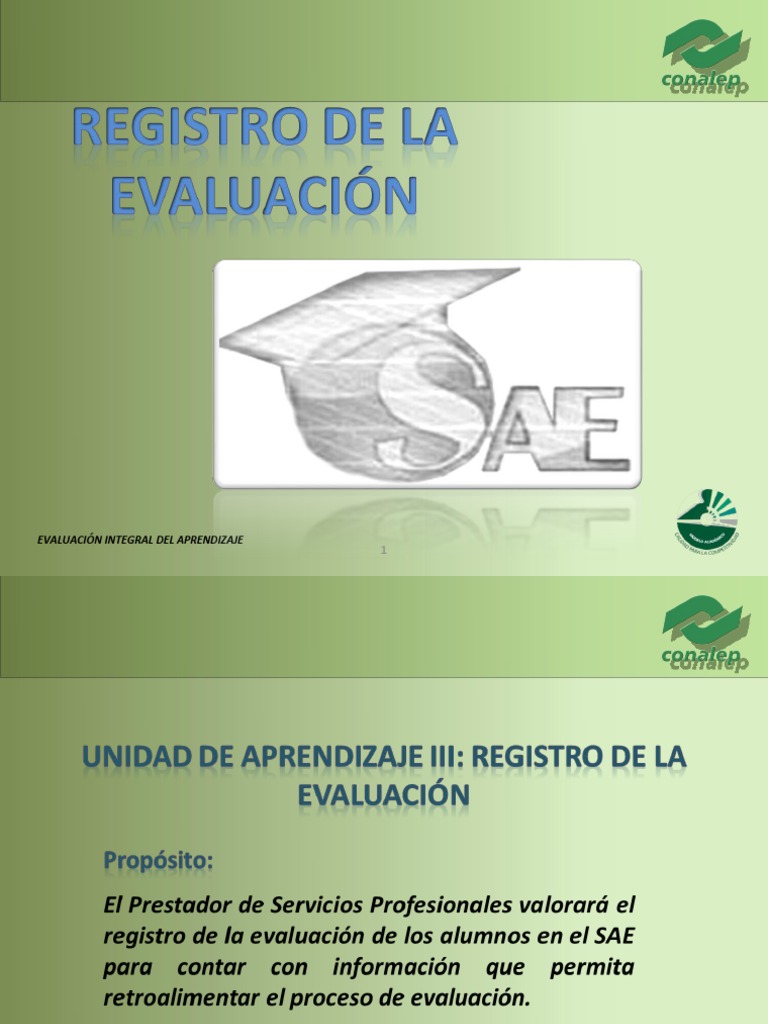 4 Registro de La Evaluación Sae | PDF | Evaluación | Rúbrica (Académica)