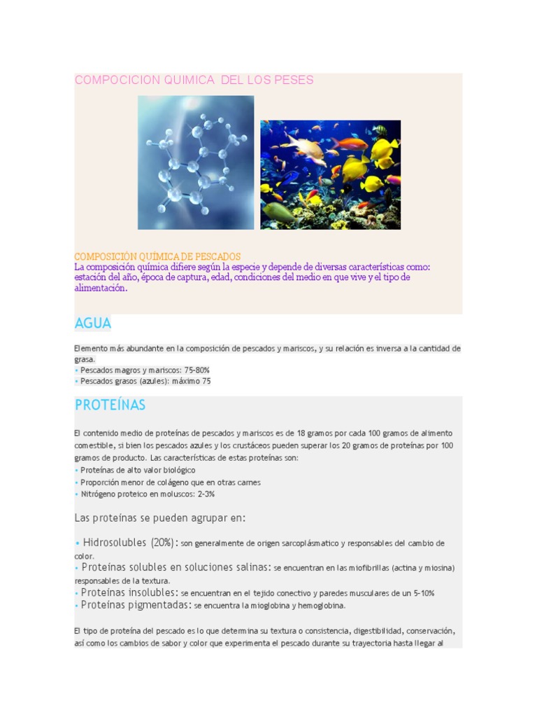 Compocicion Quimica Del Los Peses | PDF | Vitamina | Proteínas