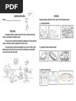 3 S Plan Lector Un Día en La Playa | PDF