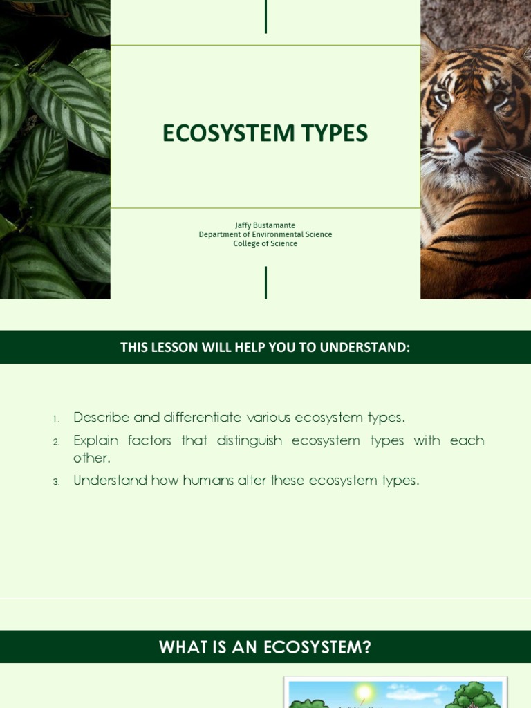 Lesson 5 - Ecosystem Types | PDF | Ecosystem | Forests