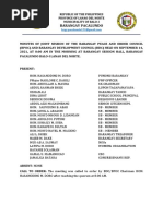 BDRRMC Minutes | PDF