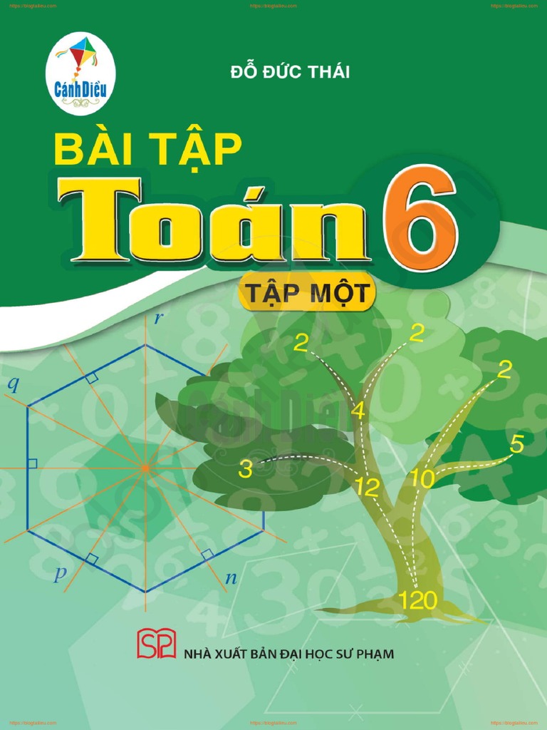 SBT Toan (1) 6 Canh Dieu PDF | PDF