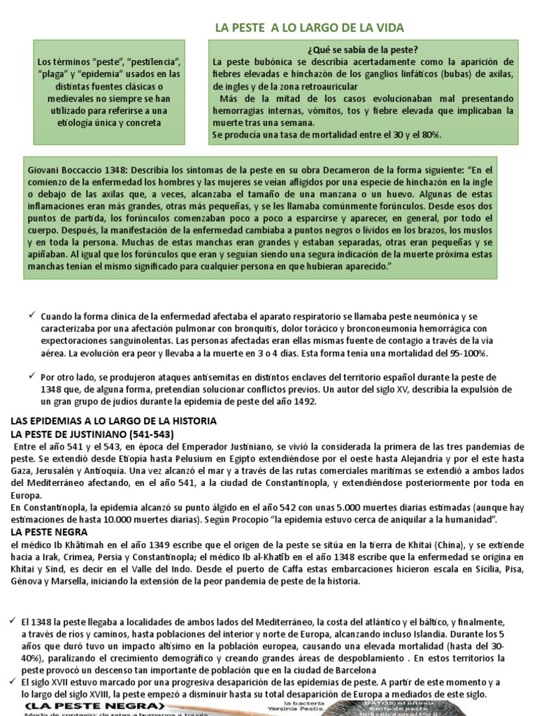 Historia y impacto de la peste bubónica | PDF | Inmunología | Epidemiología