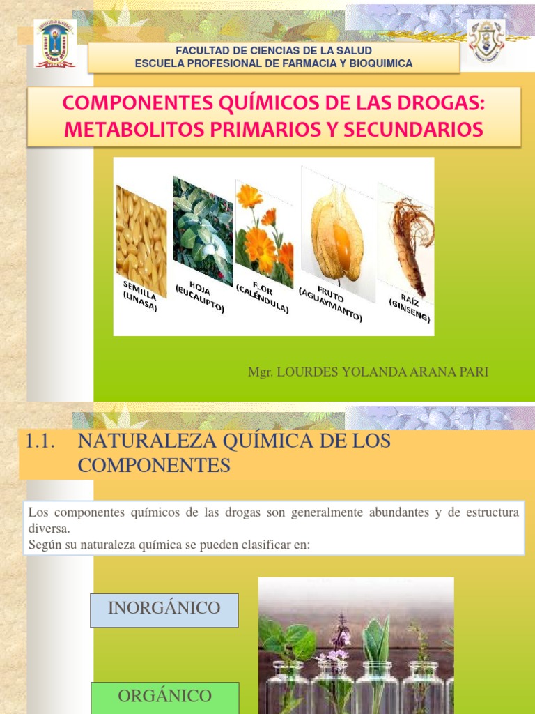 Diapositiva #08 Bases Biosintéticas de Productos Naturales | PDF ...