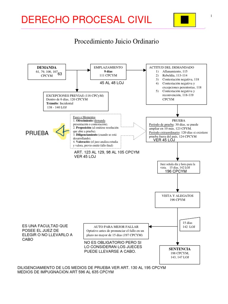 15 Esquema Juicio Ordinar | PDF | Judicaturas | Procedimiento legal