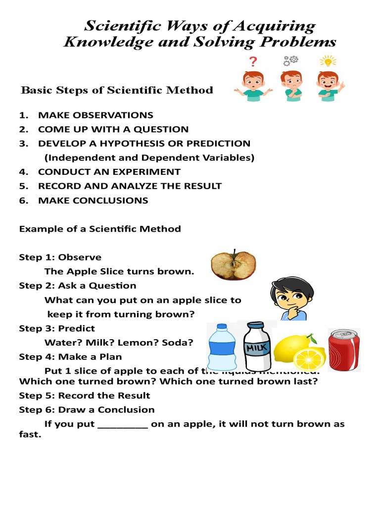 Steps of the Scientific Method Explained | PDF | Wellness