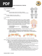 Incisión de Pfannenstiel: Técnica y Aplicaciones | PDF | Pelvis | Vagina