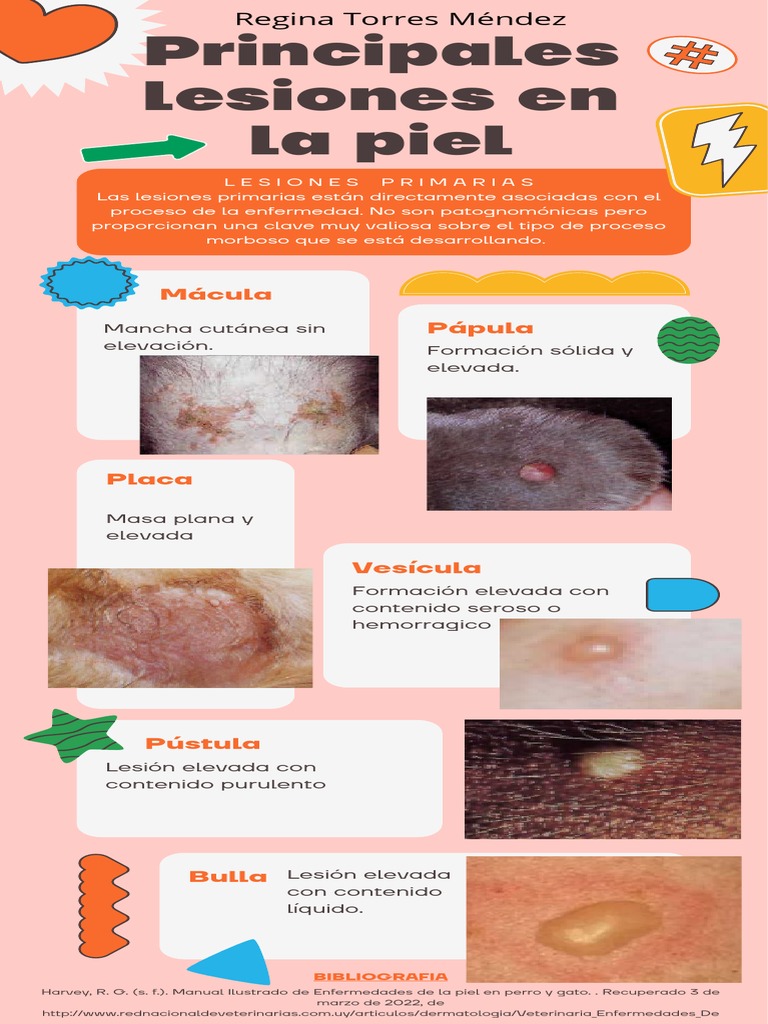 Principales Lesiones en La Piel | PDF | Piel | Epidermis