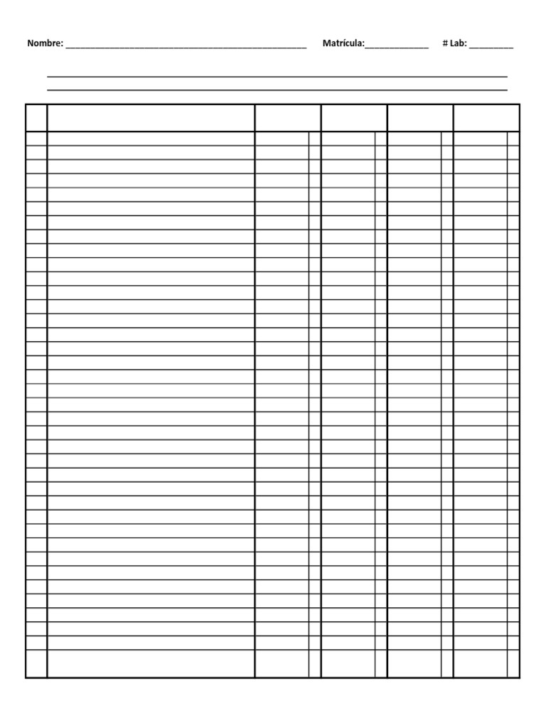 Hoja de 4 Columnas | PDF