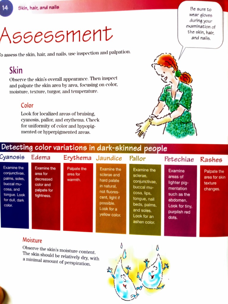 HA 2nd Skin Assessment | PDF | Cutaneous Conditions | Integumentary System