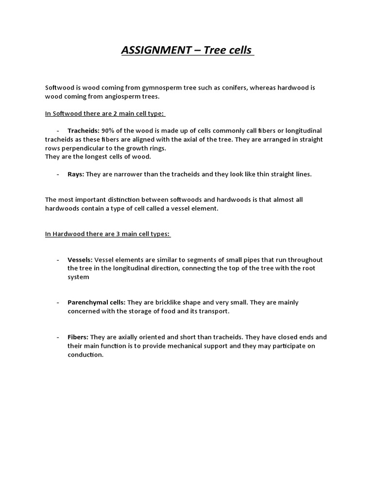 ASSIGNMENT | PDF | Home & Garden