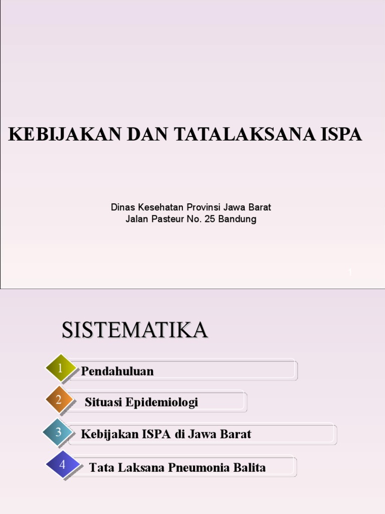 Kebijakan Dan Tatalaksana ISPA 2017 | PDF