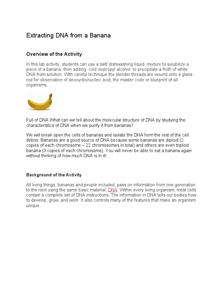 Experiment No. 10 Extraction of Dna From Banana | PDF | Dna | Cell ...