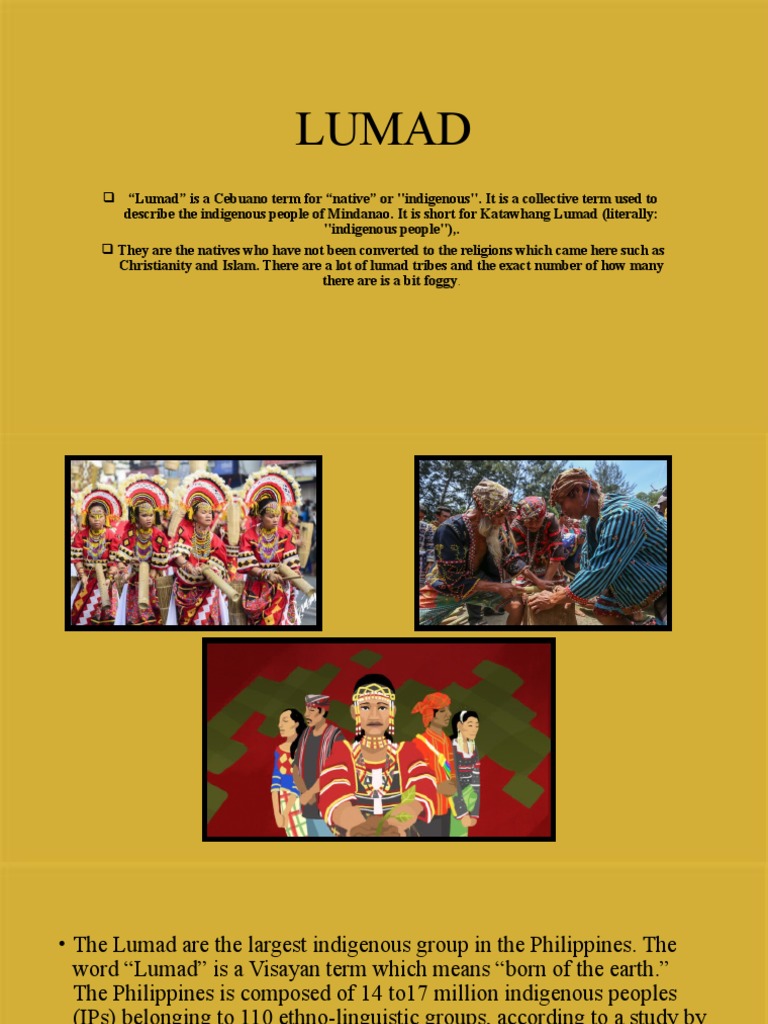 Lumad Philippines Indigenous Report | PDF | Ethnic Groups | Mindanao