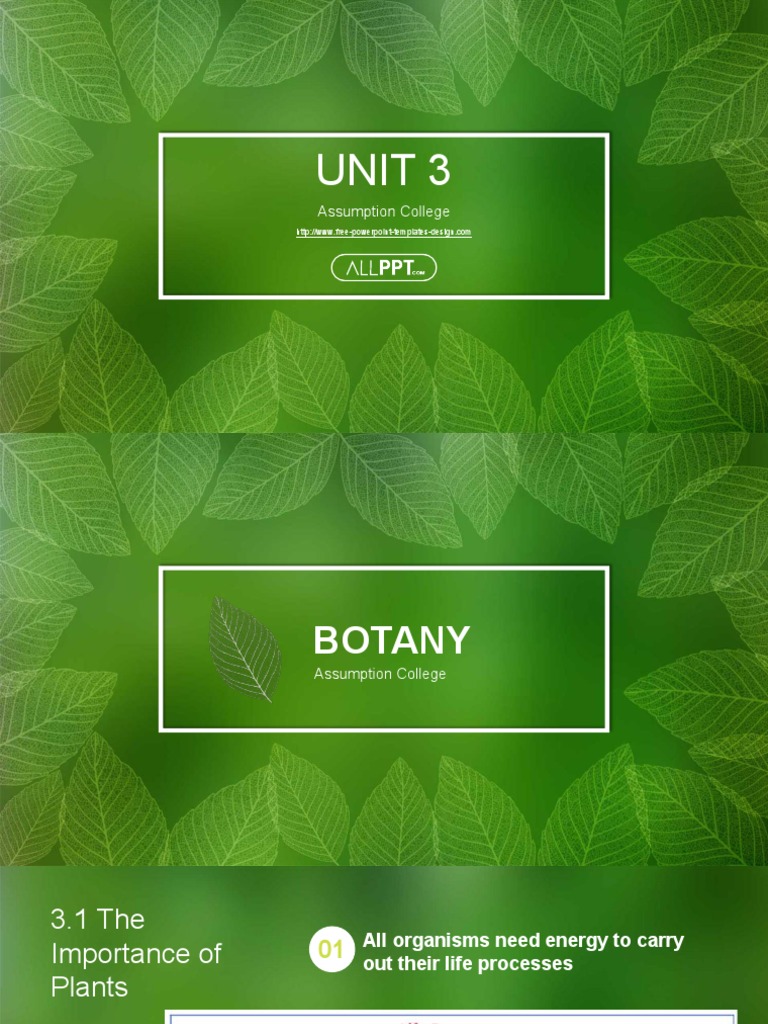 Unit 3 Photosynthesis M1 | PDF | Cellular Respiration | Photosynthesis