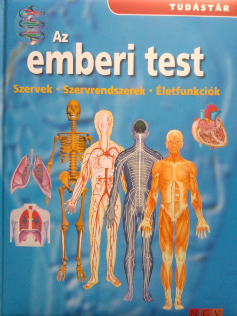 Tudástár - Az Emberi Test | PDF