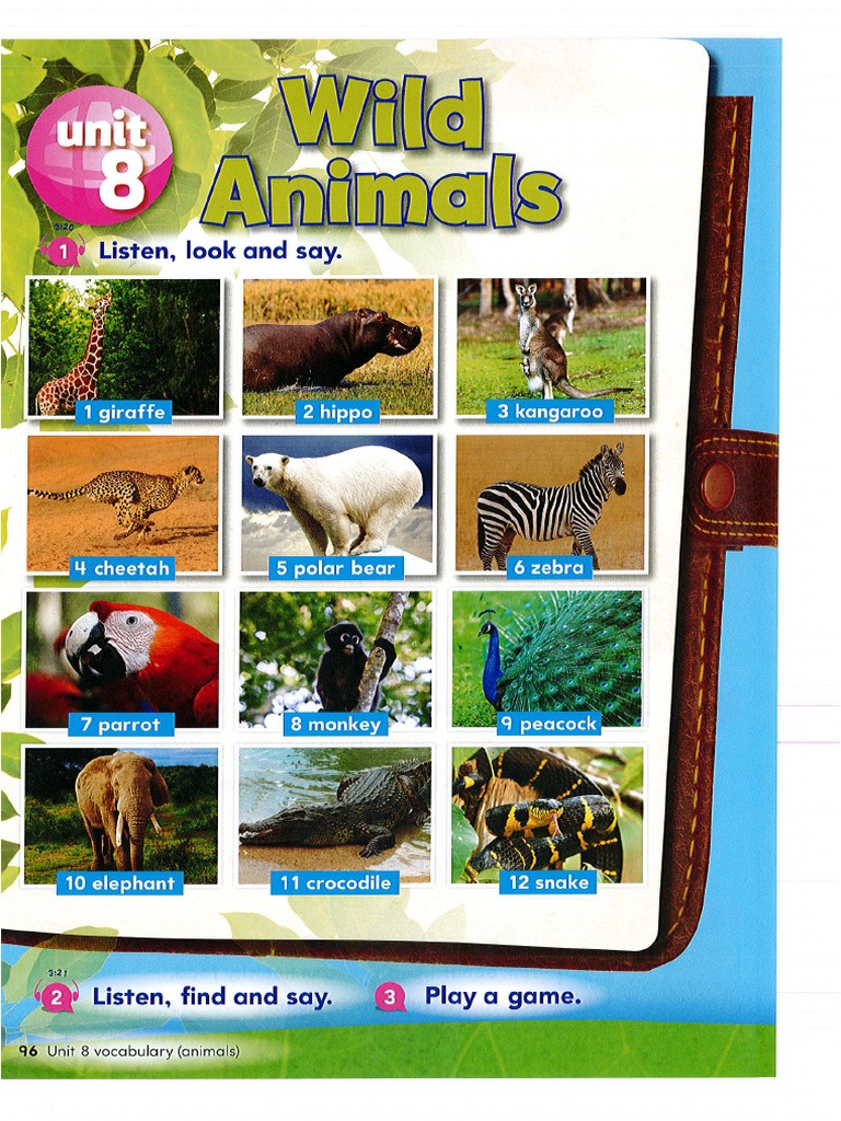 Big English 2 PB Unit 8 | PDF