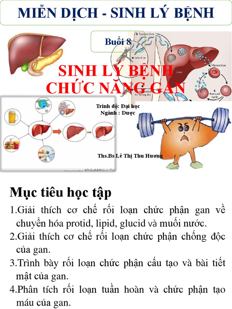 Sinh Lý Bệnh Chức Năng Gan.. | PDF