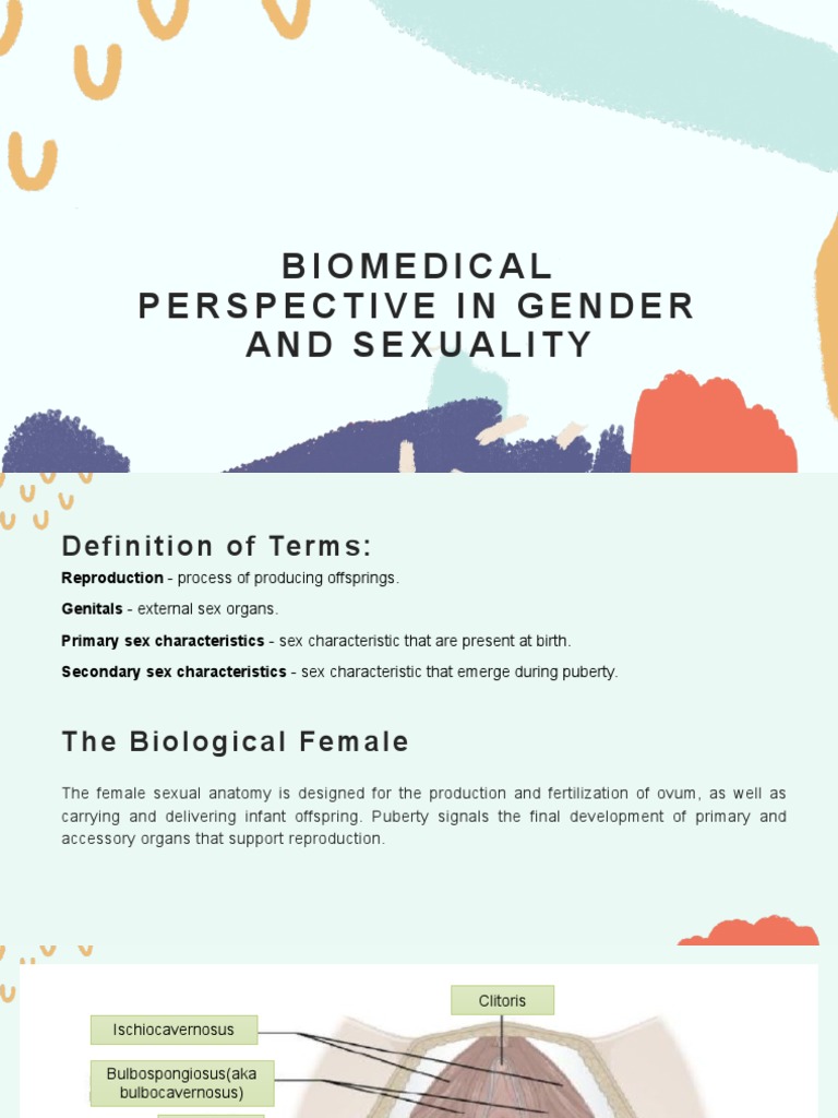 Biomedical Perspective in Gender and Sexuality - Report | PDF ...